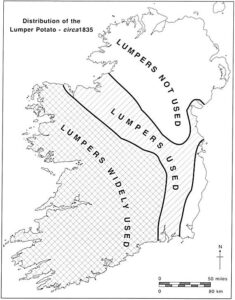 The Lumper Potato and the Famine (1:1) – History Ireland