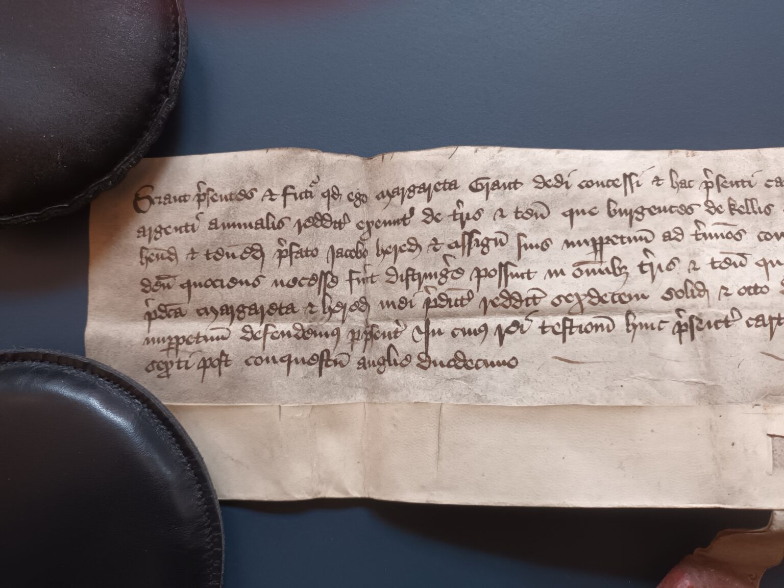 ‘A SEA OF PARCHMENT’—ORIGINAL MEDIEVAL DEEDS IN THE NATIONAL LIBRARY OF ...
